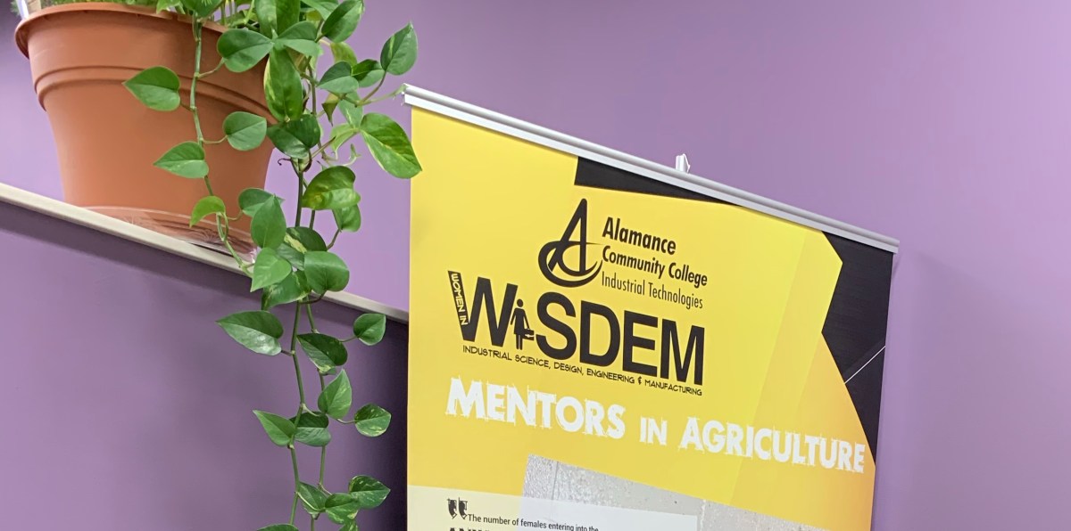 WiSDEM Banners – The Girls Get Creative